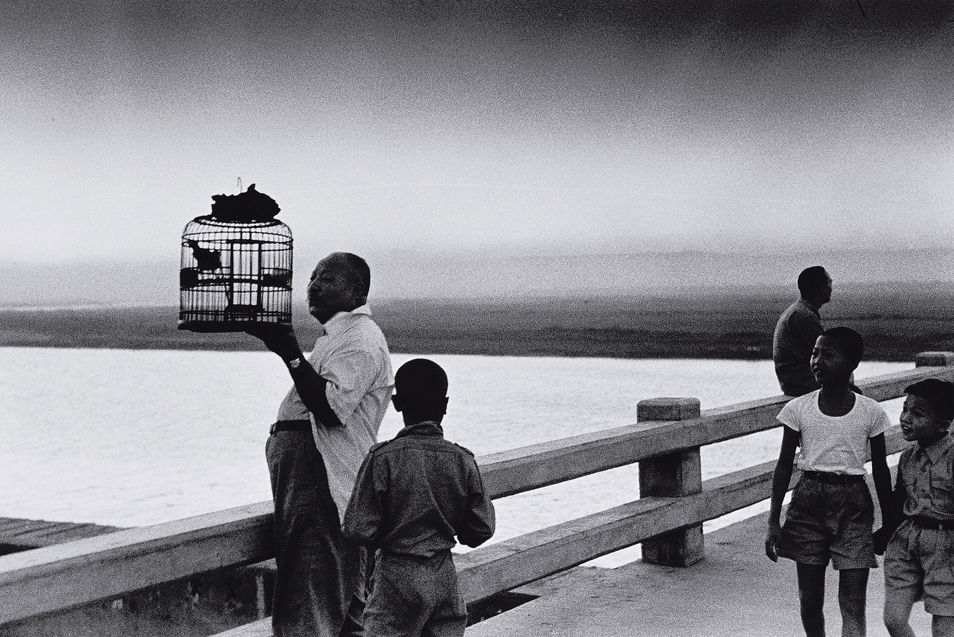 YANG Chih-Hsin | 2025 Taipei Biennial
